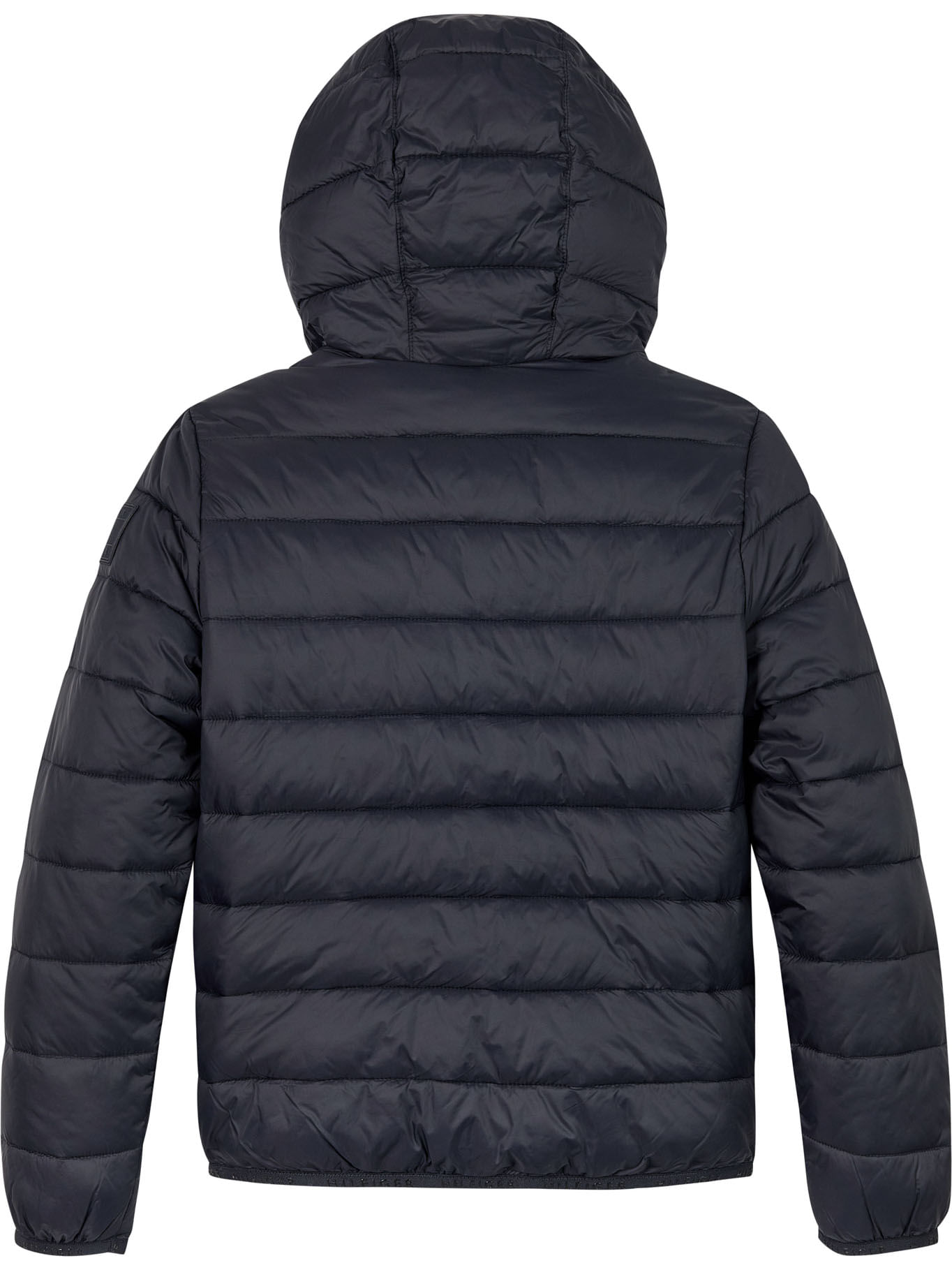 Chumpa ligera con logo